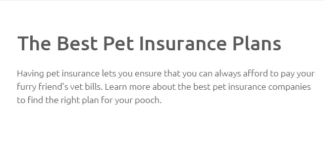 Insurance For Dogs Cost 🐾 Jan 2026